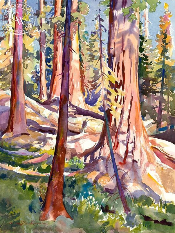 Late Afternoon in the Sequoias, art by Glen Knowles – California Watercolor
