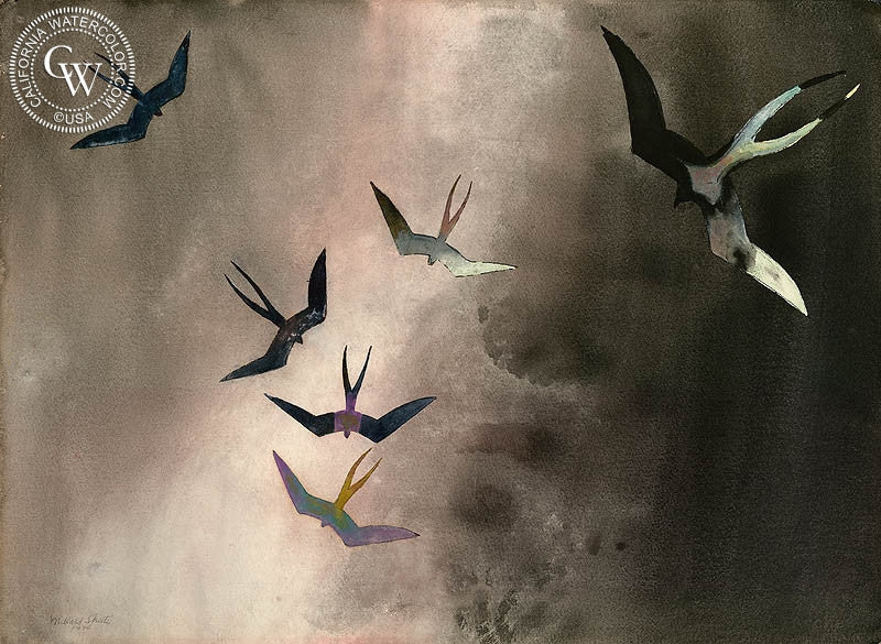 军舰鸟，卡波圣卢卡斯，1975年，米勒德·希茨作画 – California Watercolor